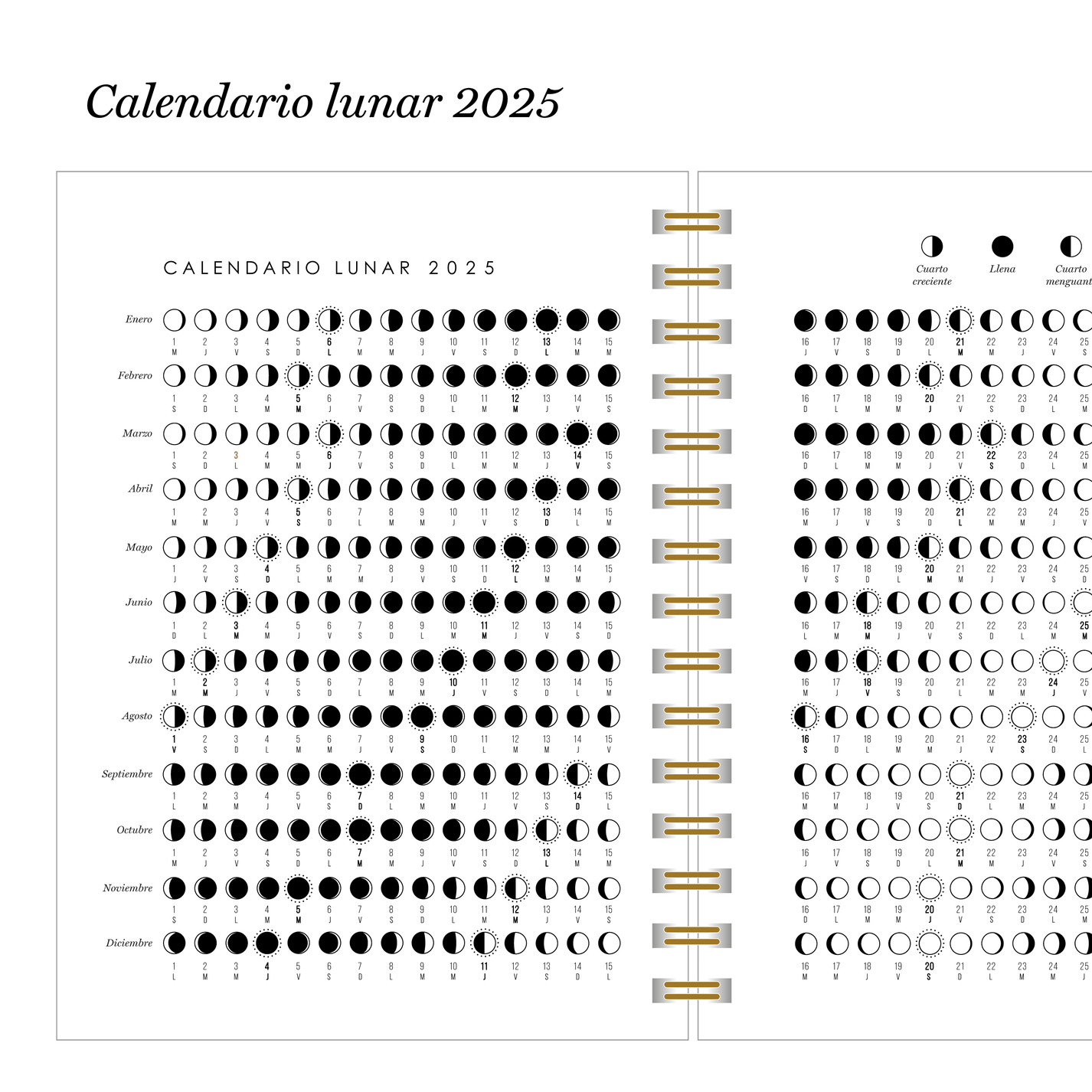 Planner Anual Zinnia 2025 – Beplanner.cl