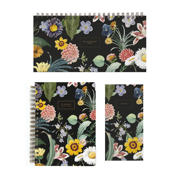 Pack Lilium - Beplanner.cl