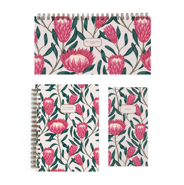 Pack Proteas Pink - Beplanner.cl