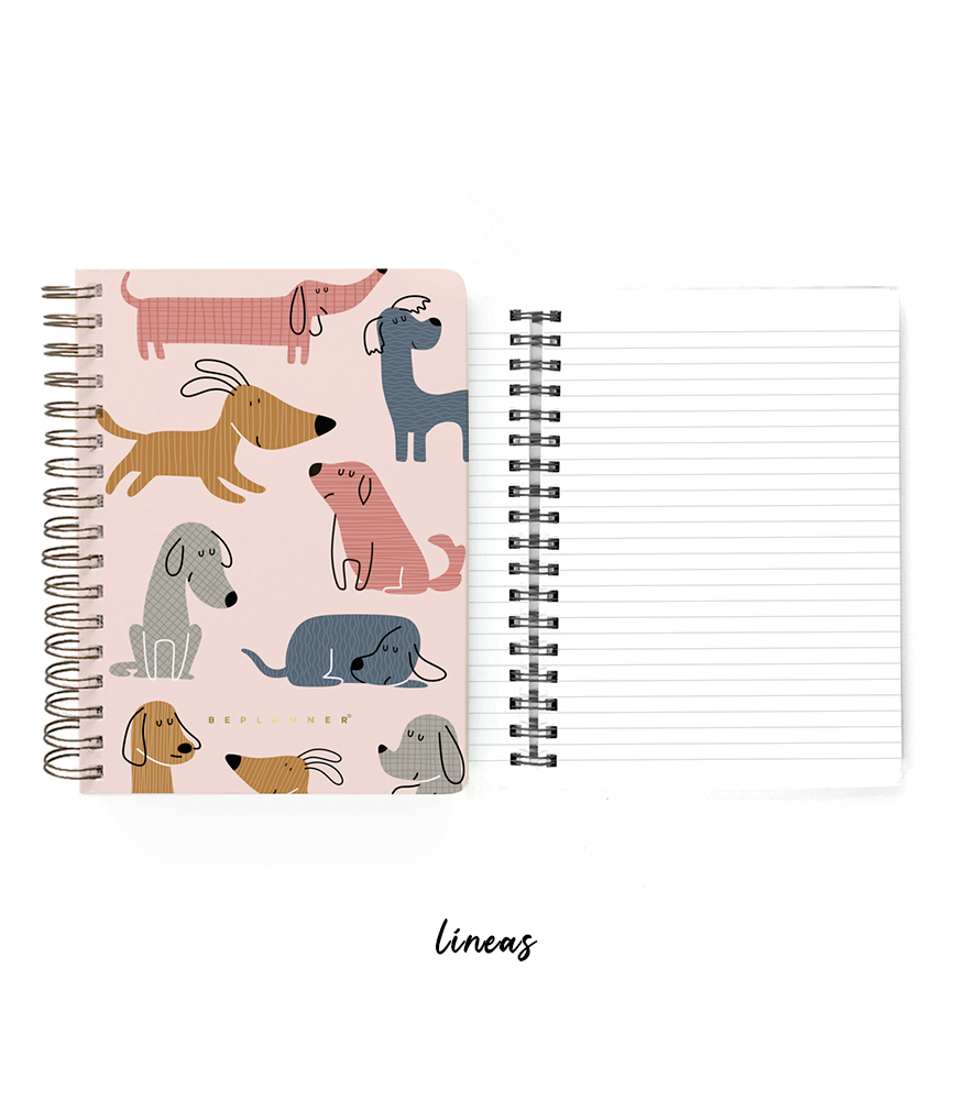 Cuaderno Peyis - Beplanner.cl