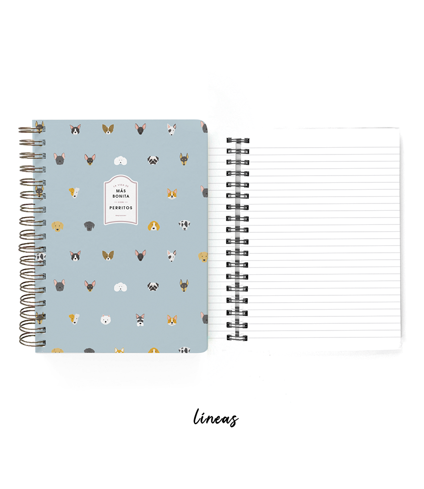 Cuaderno Caritas Celeste - Beplanner.cl